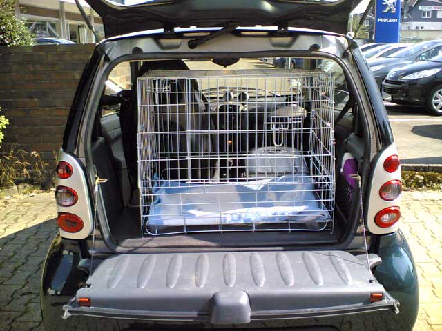 Divider for Smart - General Discussions - Club smart Car