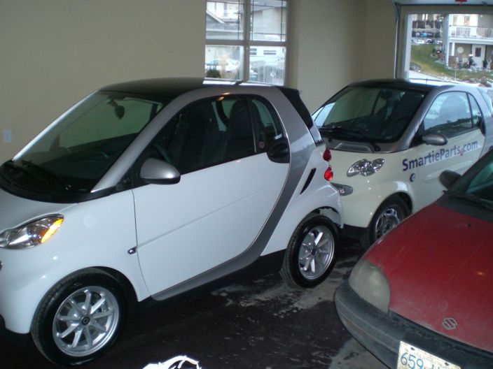 Can You See The Resemblance? - General Discussions - Club smart Car