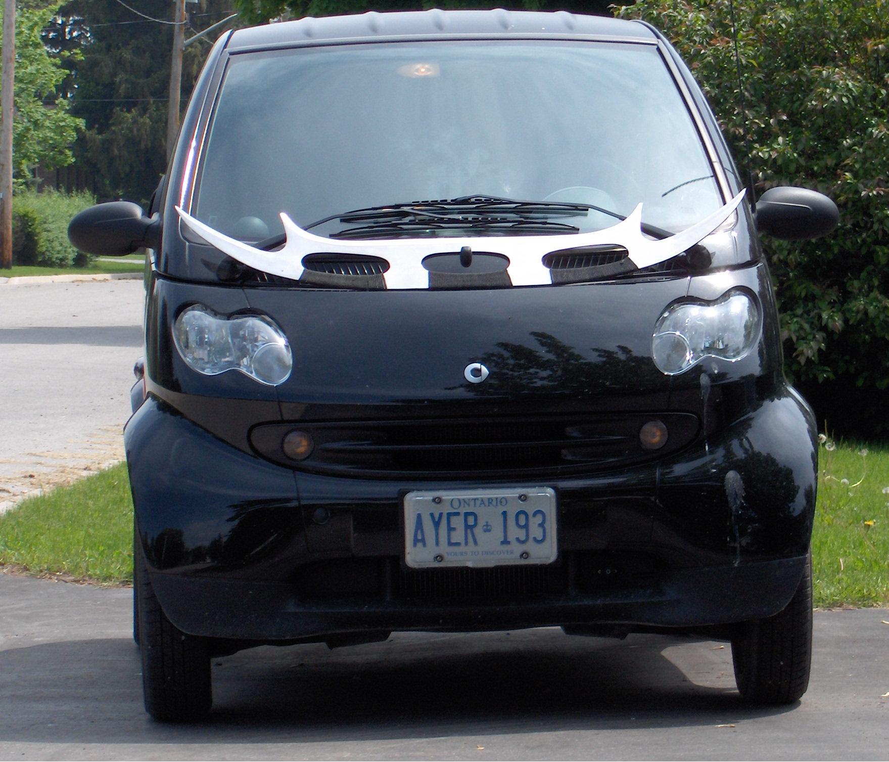 Nice Rack!!! - Modifications and Performance: 450 Model, 2005-2006 ...