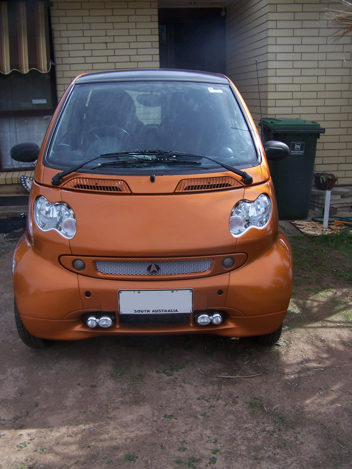 Custom Badge - General Discussions - Club smart Car